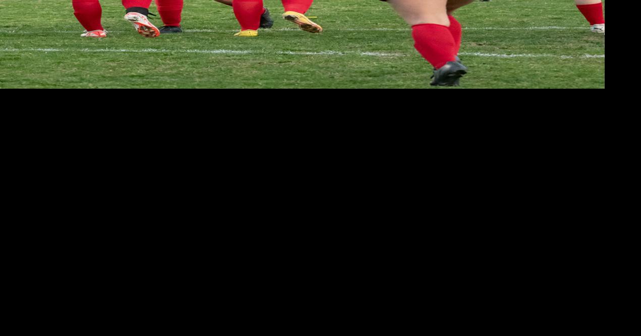 Four MCHS Lady Dogs commit to college play including team captain Rylee ...