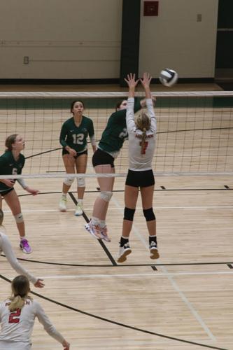 MCHS JV volleyball team tallies up successes | News ...