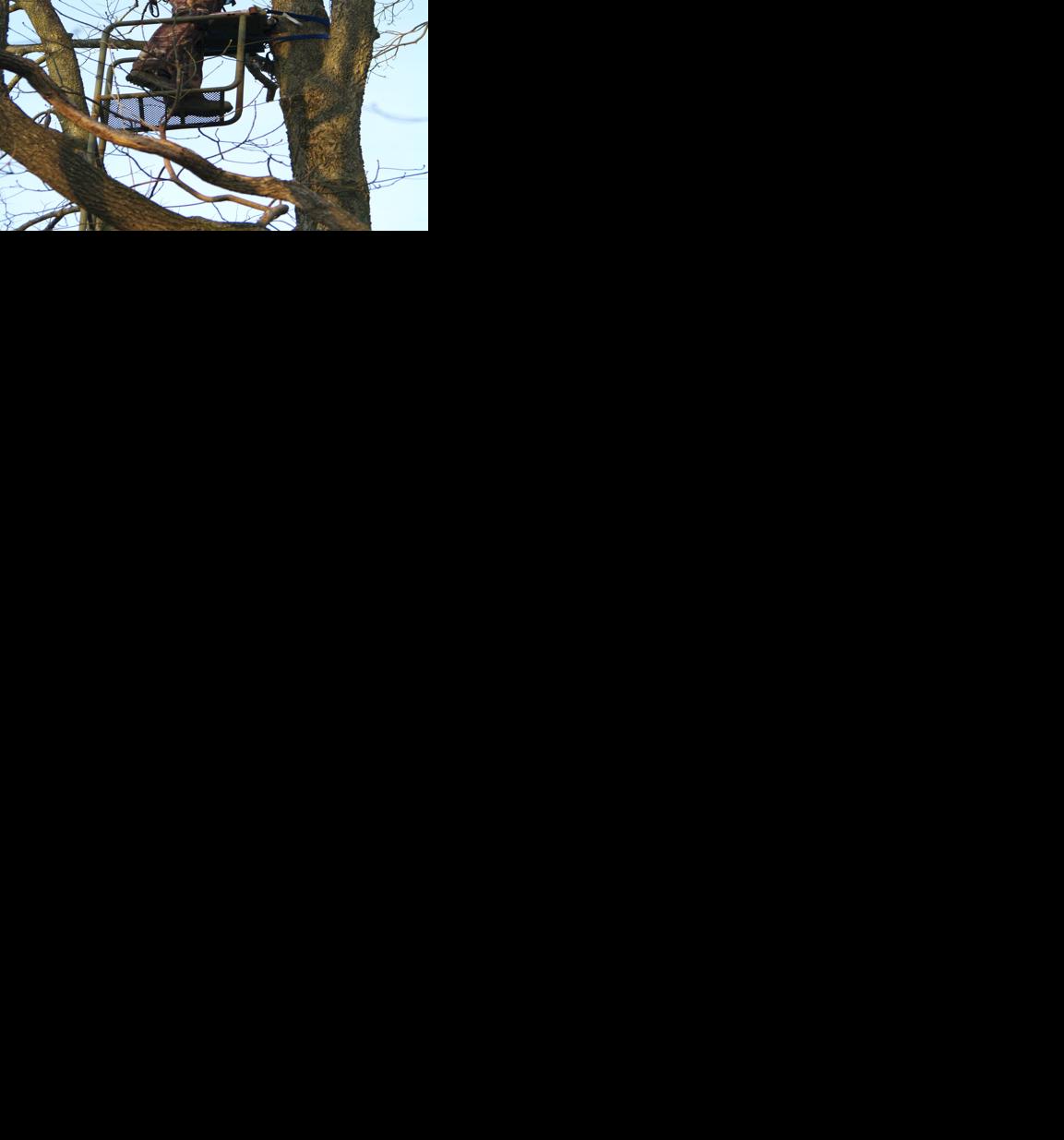 Using a tree stand during deer hunting season? Review safety tips ...
