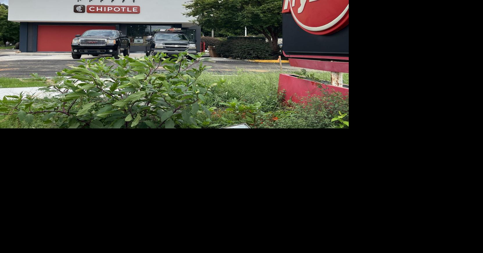 Chipolte Mexican Grill To Open In Madison | News | morgancountycitizen.com