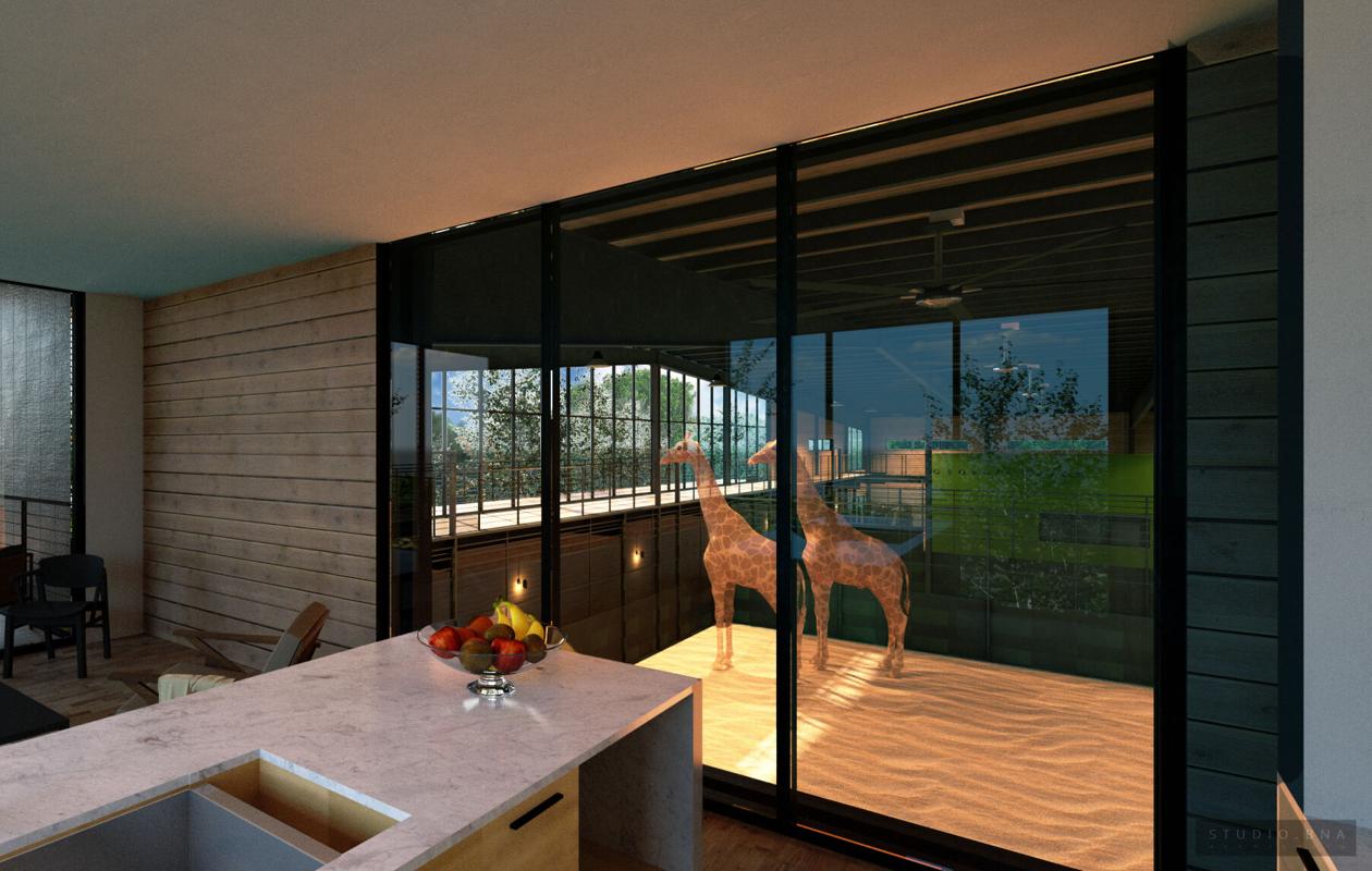 Georgia Safari Conservation Park announces 2024 opening | News ...