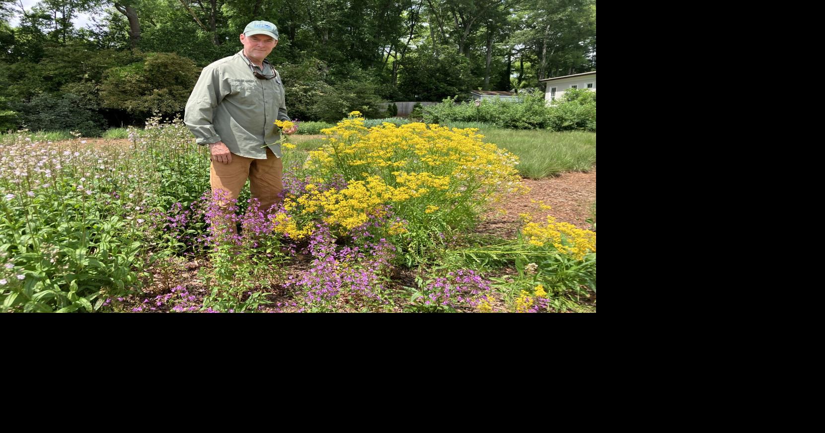Chris Skelton Creates Wildflower Oasis In Suburban Landscape | News ...