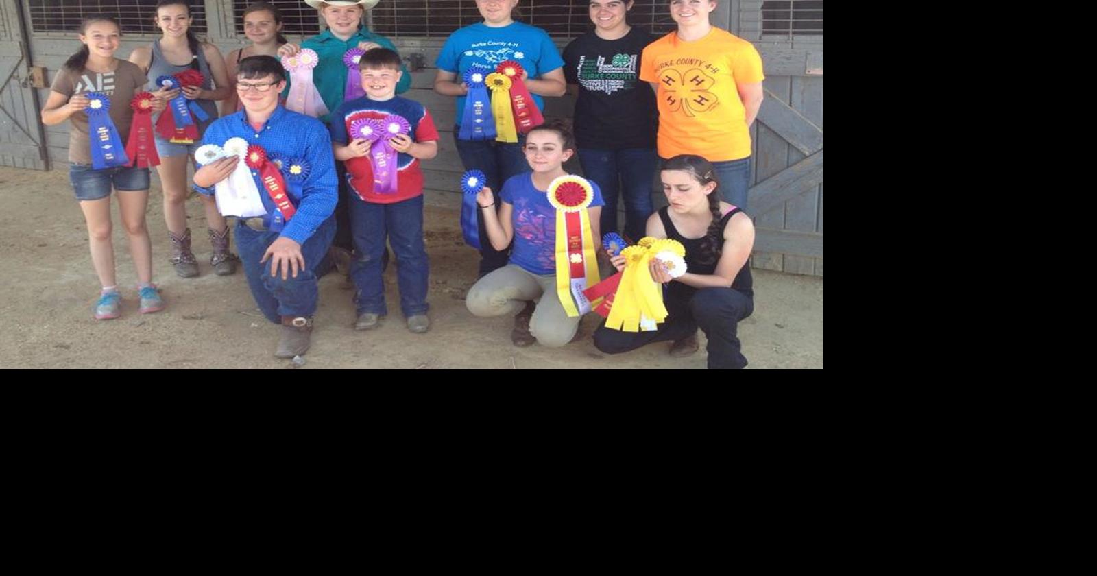 4-h-horse-program-succeeds-in-2014