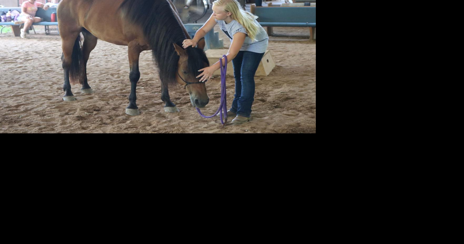 Local farm takes on taming wild mustangs in national competition