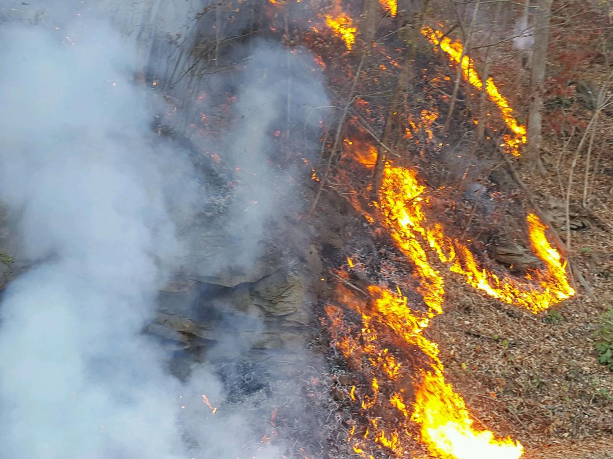 Battle against wildfires continues; arson suspect sought | Latest ...