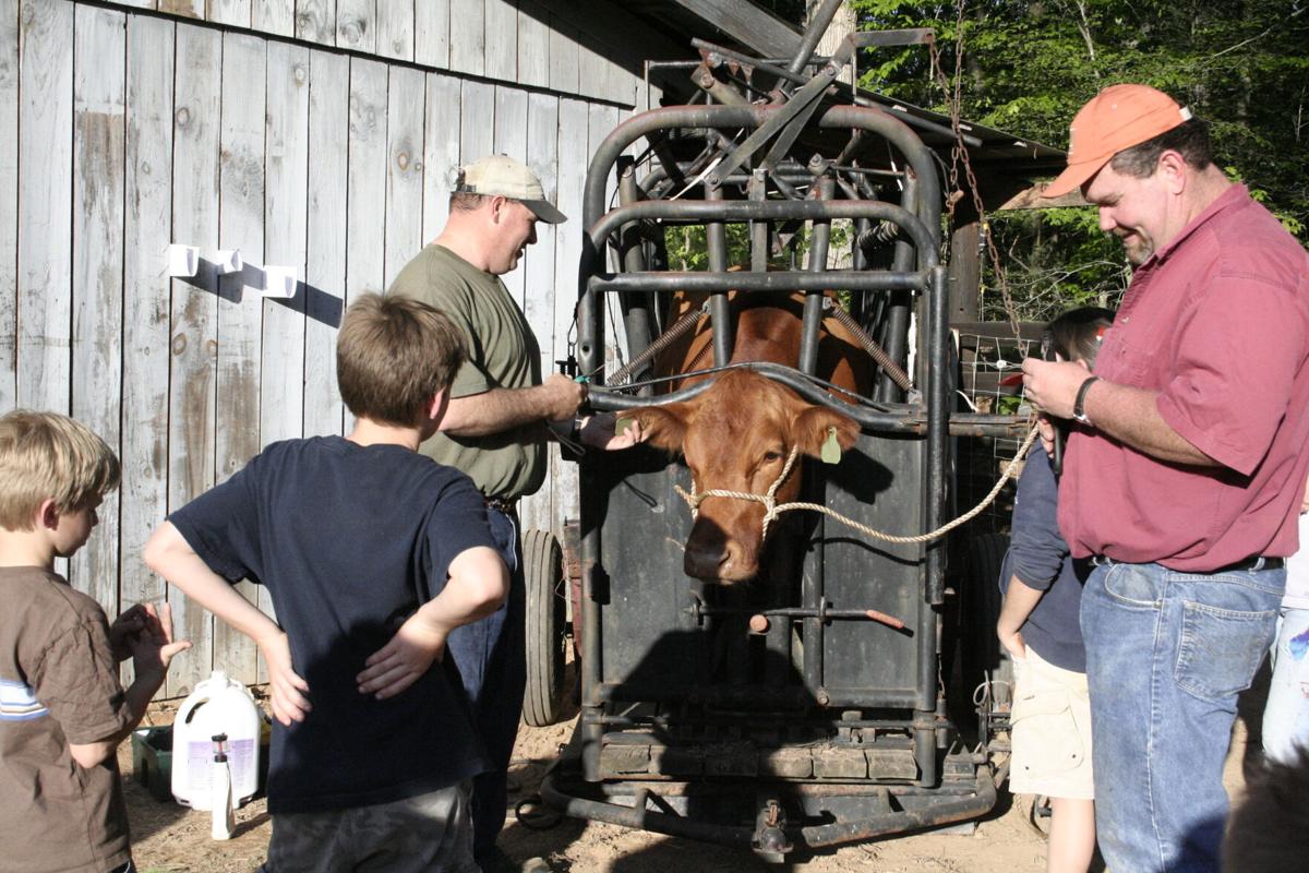 Managing livestock well requires properly equipped facility
