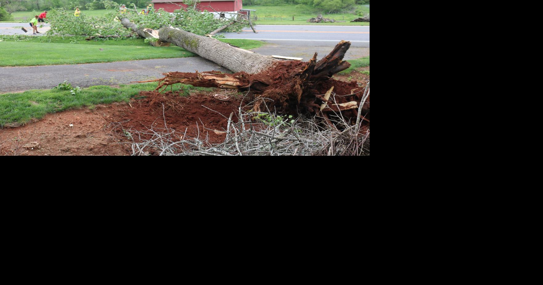 Weather causes downed trees, outages