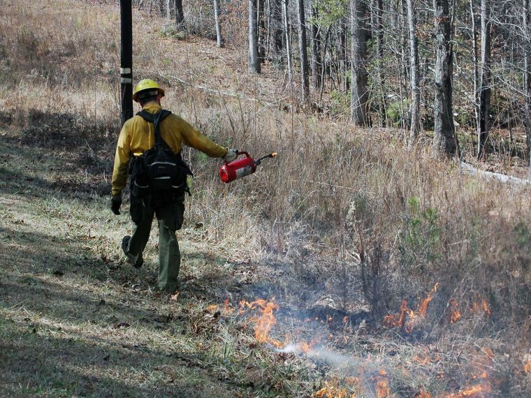 Prescribed burns reduce wildfire threat