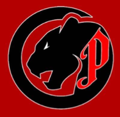 Host Patton swept in 5 matches at Panther Duals