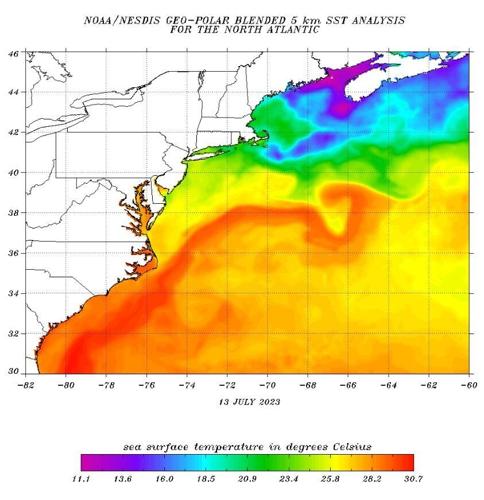 Water temperatures off the NC coast are up, but does it count as a ...