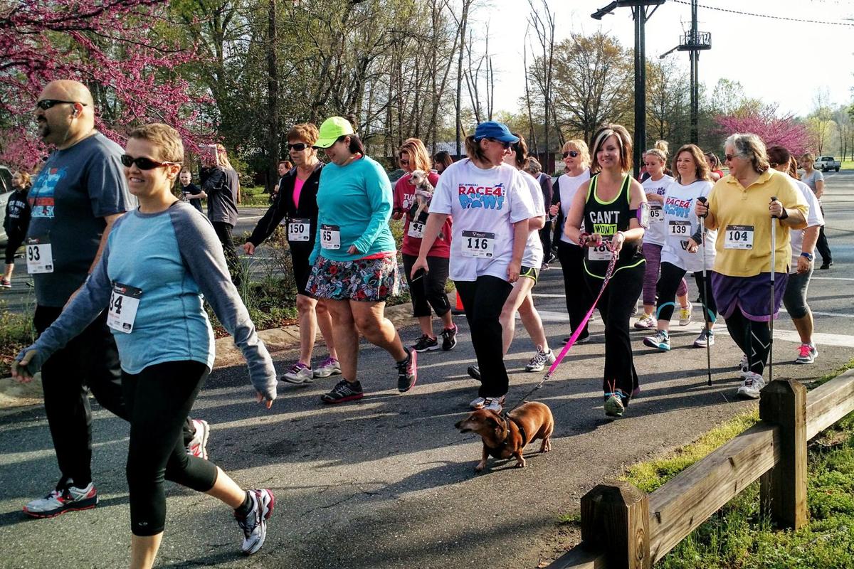 Run for the Paws 5k race