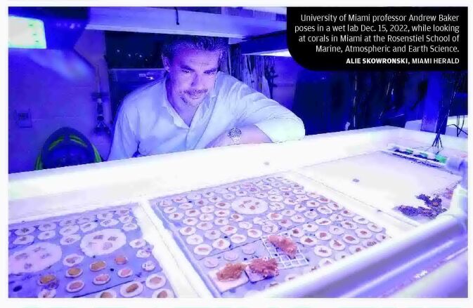 CREATING THE 'PERFECT' REEF