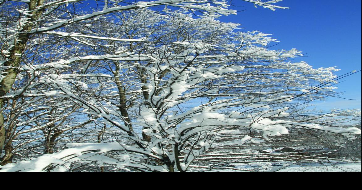 Wintry mix forecast for area