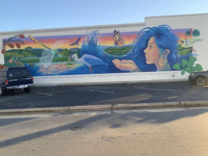 'Create to Connect: Future mural project planned by TOSS