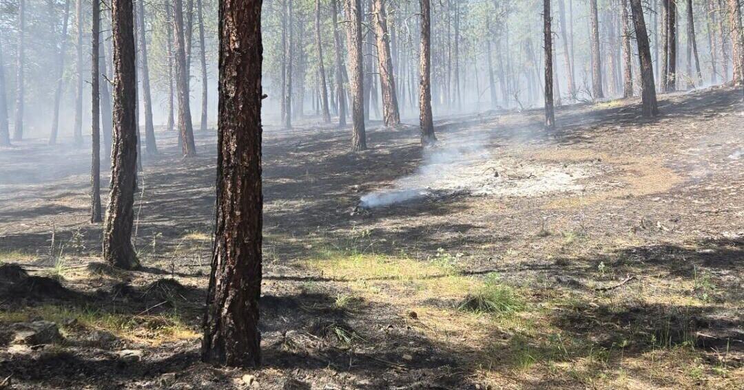 High Country Road fire starts near Plains as burn caution urged | State ...