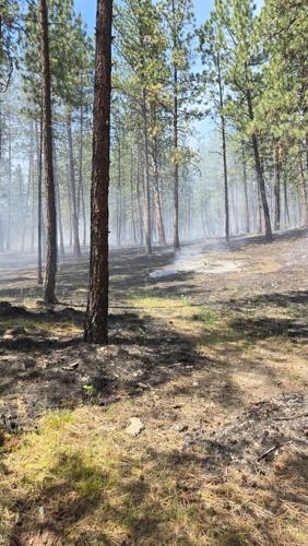 High Country Road fire starts near Plains as burn caution urged | State ...