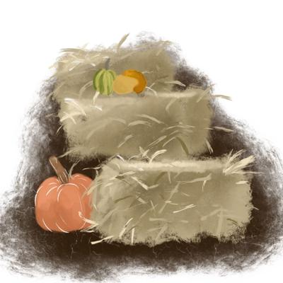 Local Fall Activities That You Can’t Miss Out On | Opinion ...