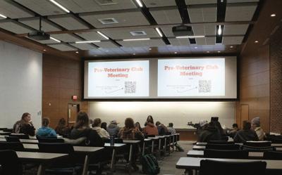 Education and support for students with the Pre-Vet club | News ...