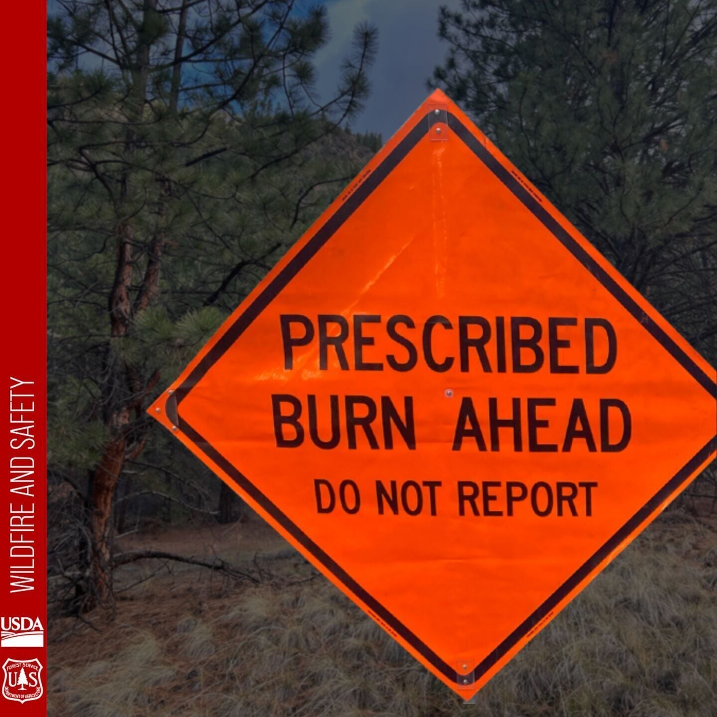 Prescribed burn in Helena-Lewis and Clark National Forest | State ...