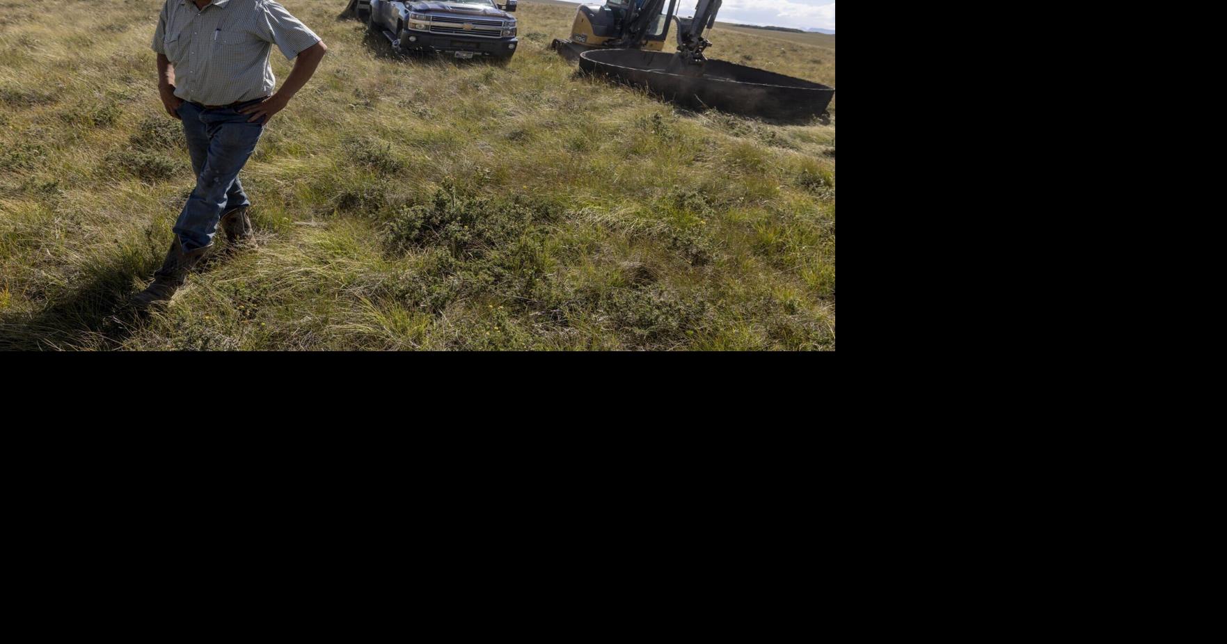 5-year drought crippling Blackfeet Nation's ranching economy | State | msuexponent.com