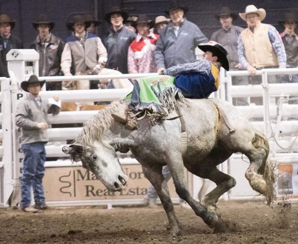 Got the horses in the back | Featured | msuexponent.com