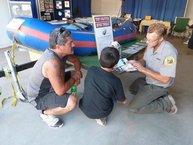 Fish, Wildlife & Parks adds new mussel to Montana’s invasive species ...