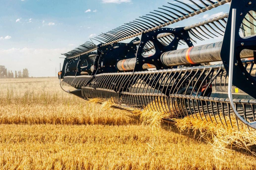 Montana State University Extension to host Golden Triangle cropping ...