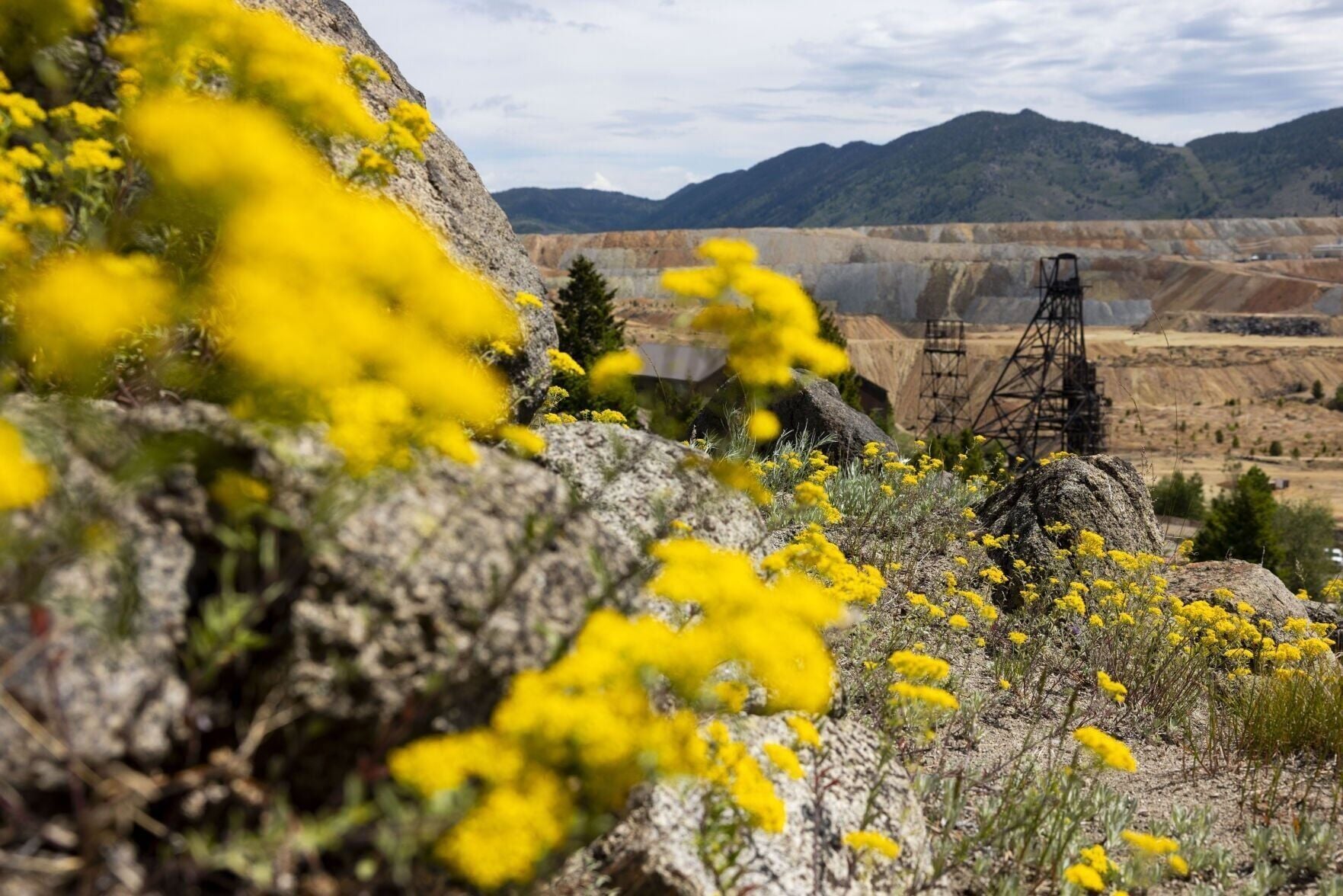 Silver Bow Mining's surface drilling exploration is underway | State ...