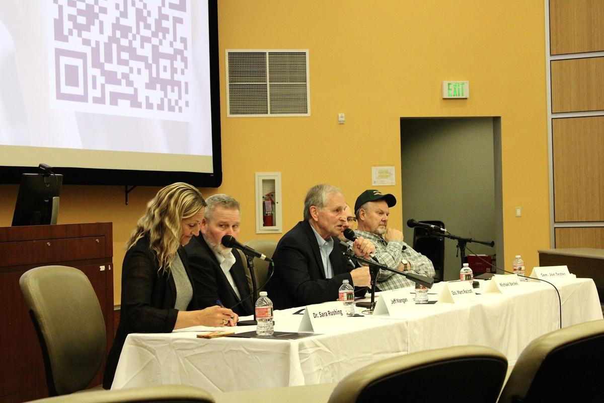Public Things Project hosts bipartisan panel on elections, campaign ...