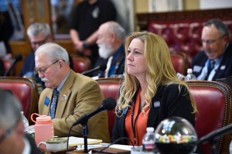 Everyone running for office in Yellowstone County Montana | State ...