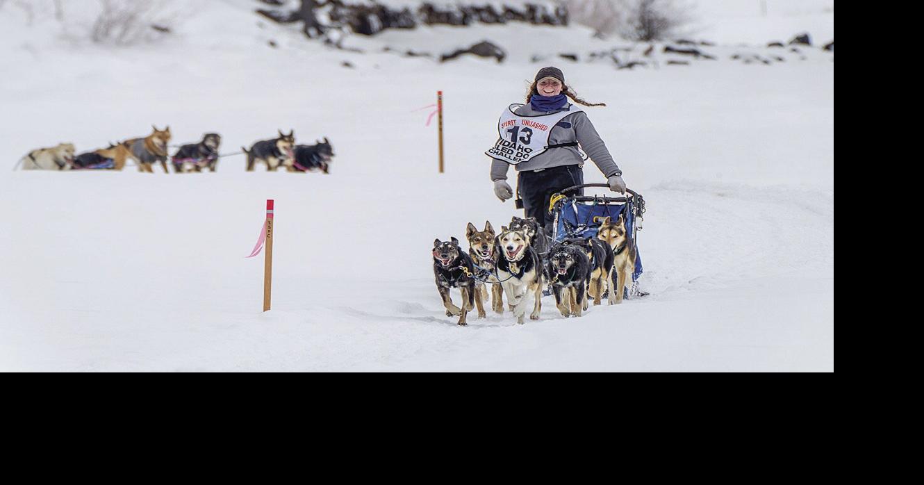 Charmayne Morrison: MSU student and musher | Outdoors | msuexponent.com