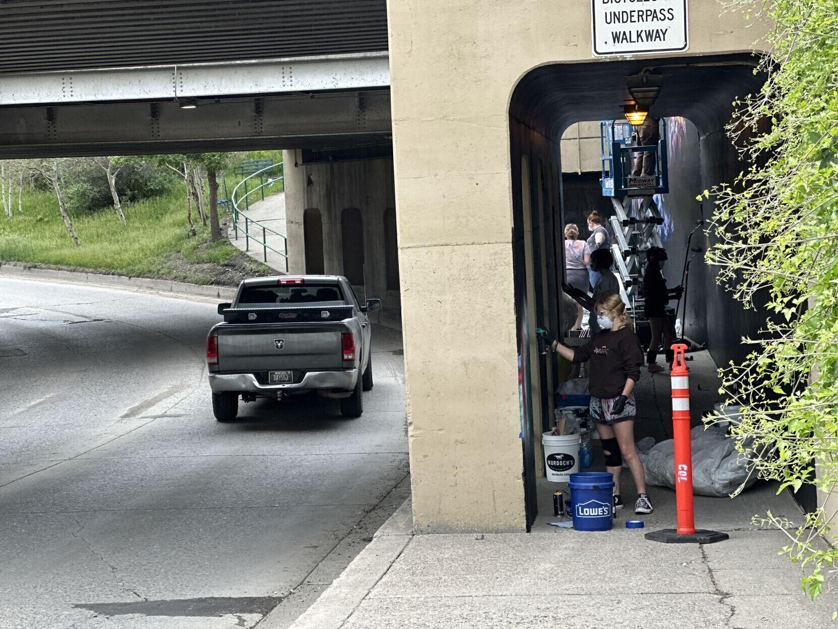 Burlington Northern Santa Fe backtracks, resumes pigeon shooting ...