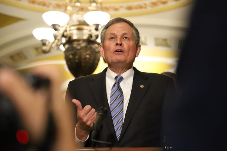 Term limits? No, that isn't what ended Daines’ Senate run | State ...