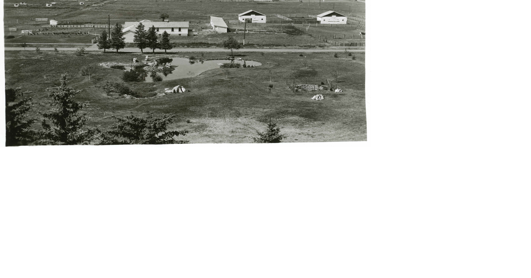 Duck Pond lore: A deep dive | Culture | msuexponent.com