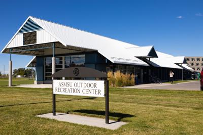 How to not get mauled by a bear | Culture | msuexponent.com