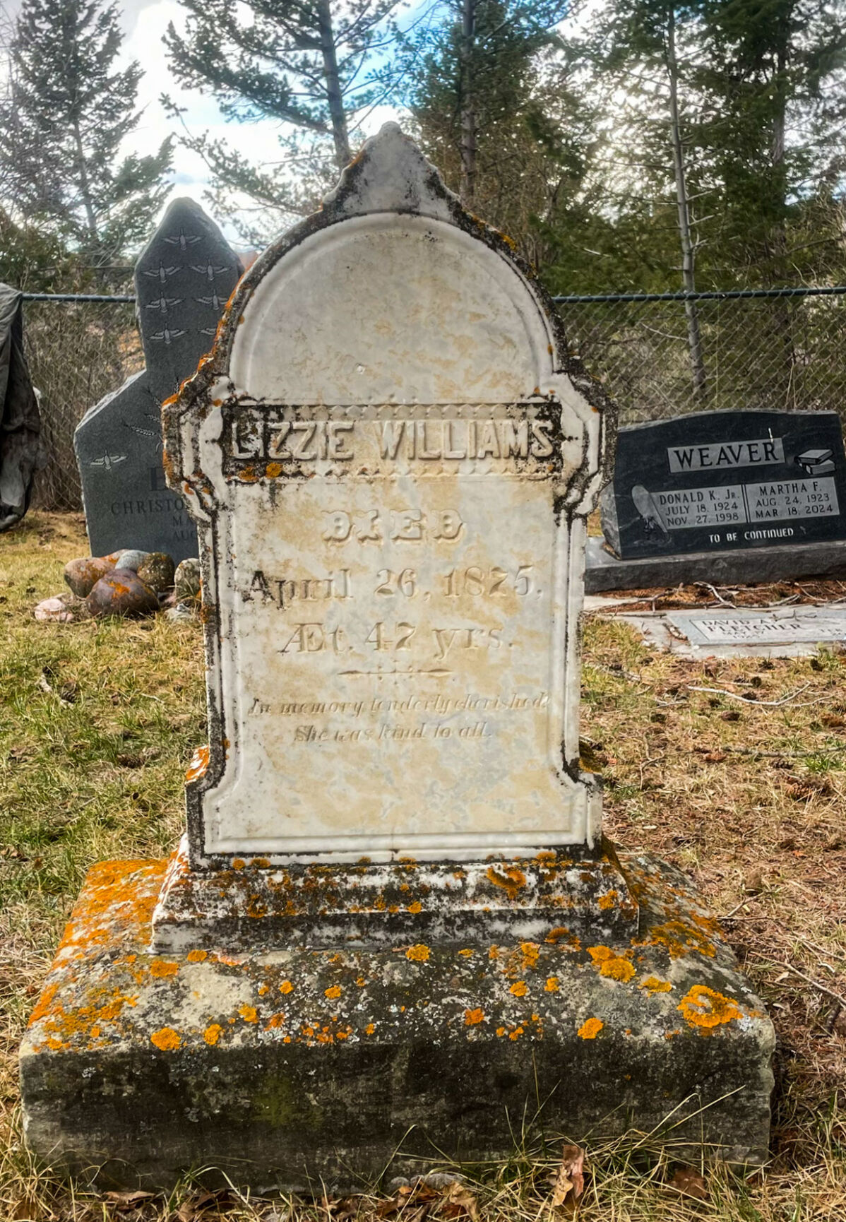 Extreme History Project pieces together the lost story of Lizzie ...