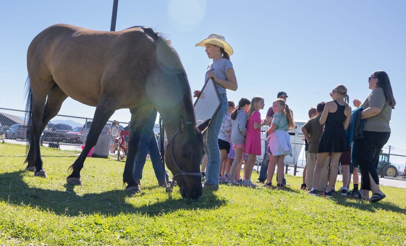 Jim Darcy students sow the seeds of learning at Ag Day | State ...
