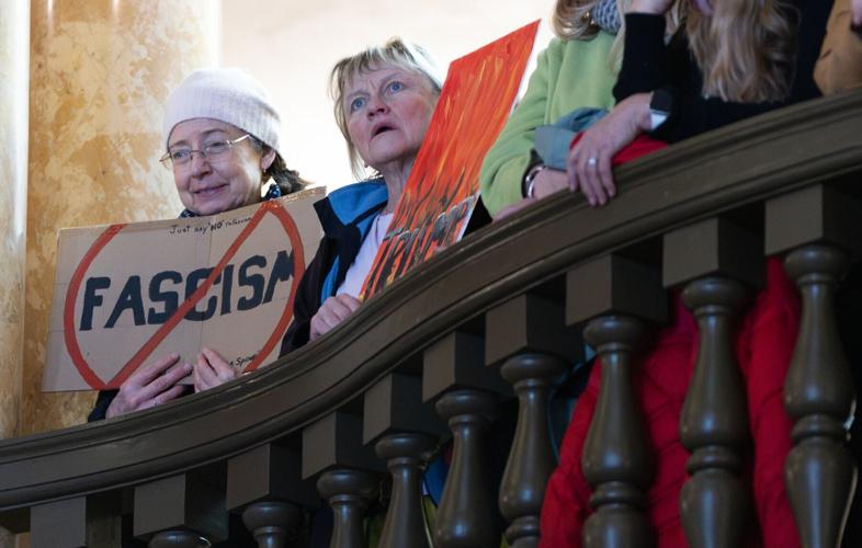 Indivisible Helena, veterans host rally at Capitol | State ...