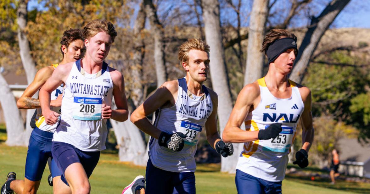 MSU cross country races to the top at Big Sky Championships | Sports ...