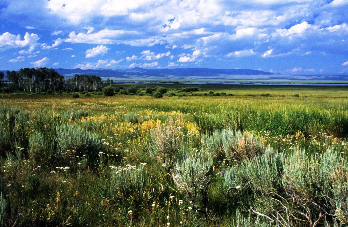 Red Rock Lakes National Wildlife Refuge | State | msuexponent.com