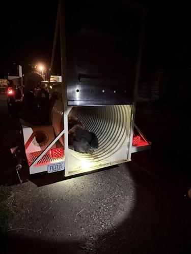 Worden black bear safely relocated by Fish, Wildlife & Parks | State ...