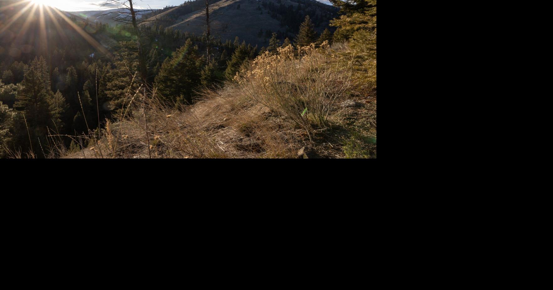 Groups call Sheep Creek mine plan 'a recipe for a toxic stew' | State ...