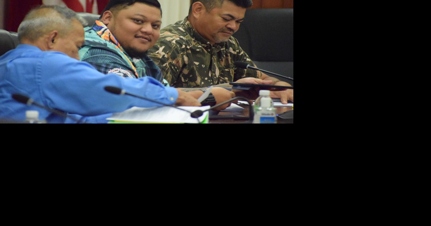 Saipan council chair calls for more work on bill to streamline business ...