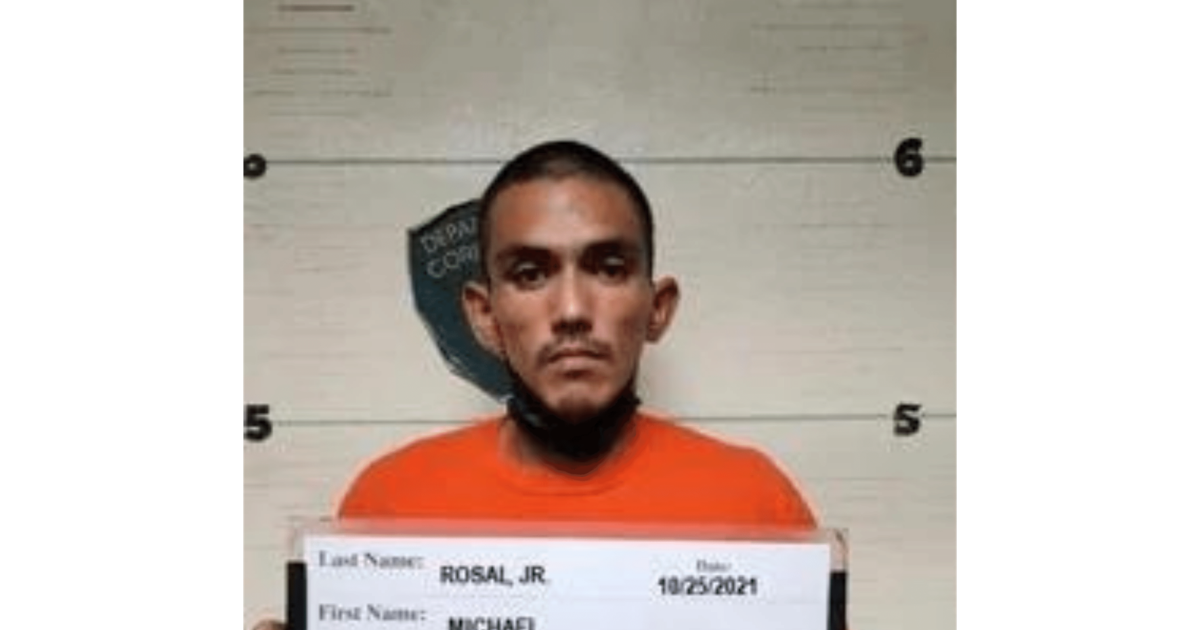 2 Felons Facing Federal Charges For Possession Of Guns Ammo News