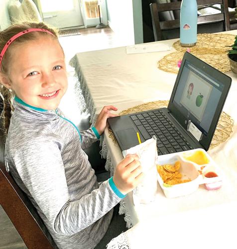 Remote learning in WC | News | mycarrollcountynews.com