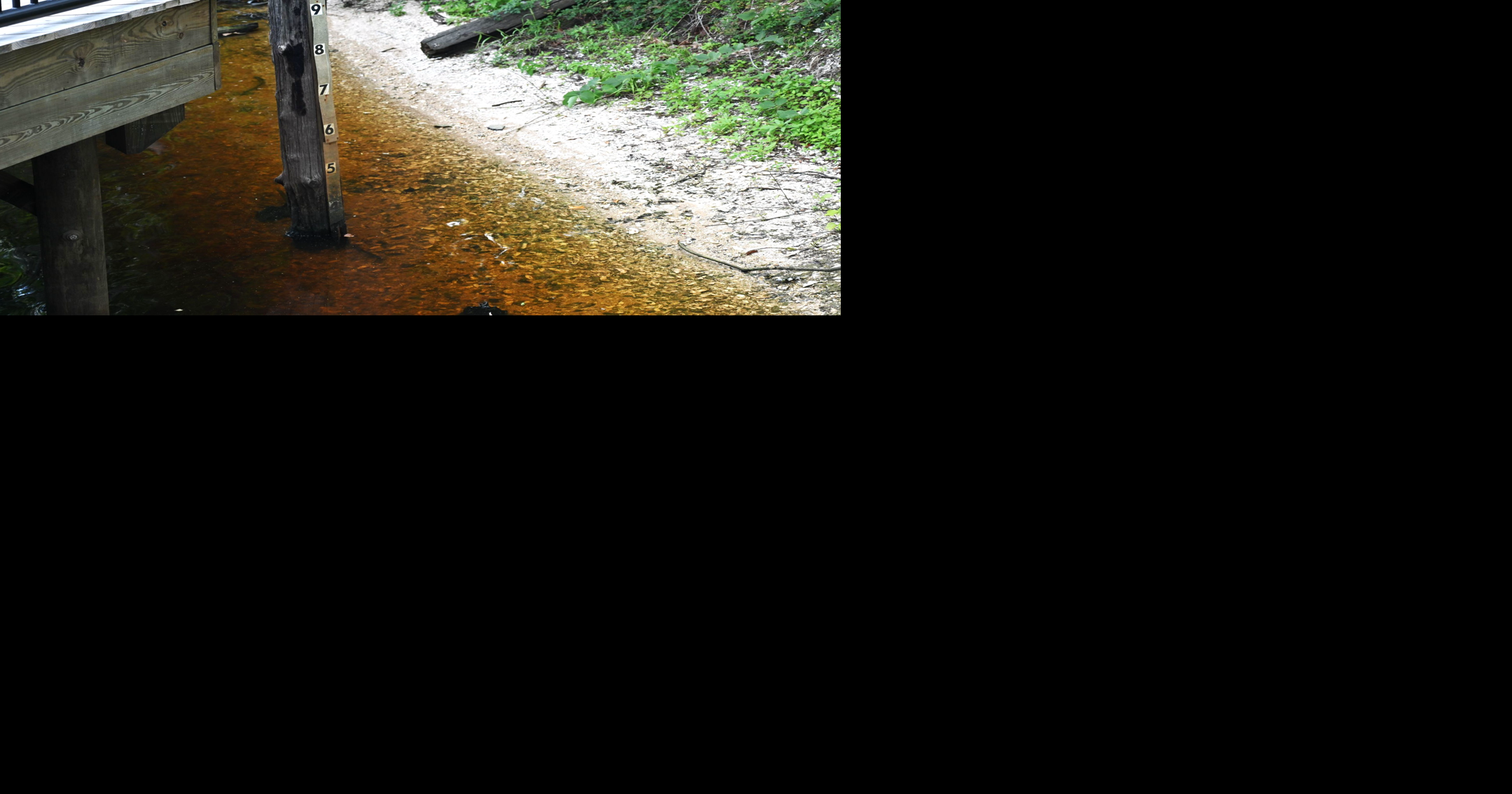 Waccamaw River is low as oppressive heat arrives | News | myhorrynews.com
