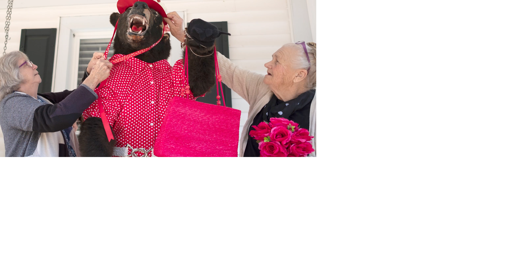 'That poor bear needs some clothes': How Conway's most famous bear got ...