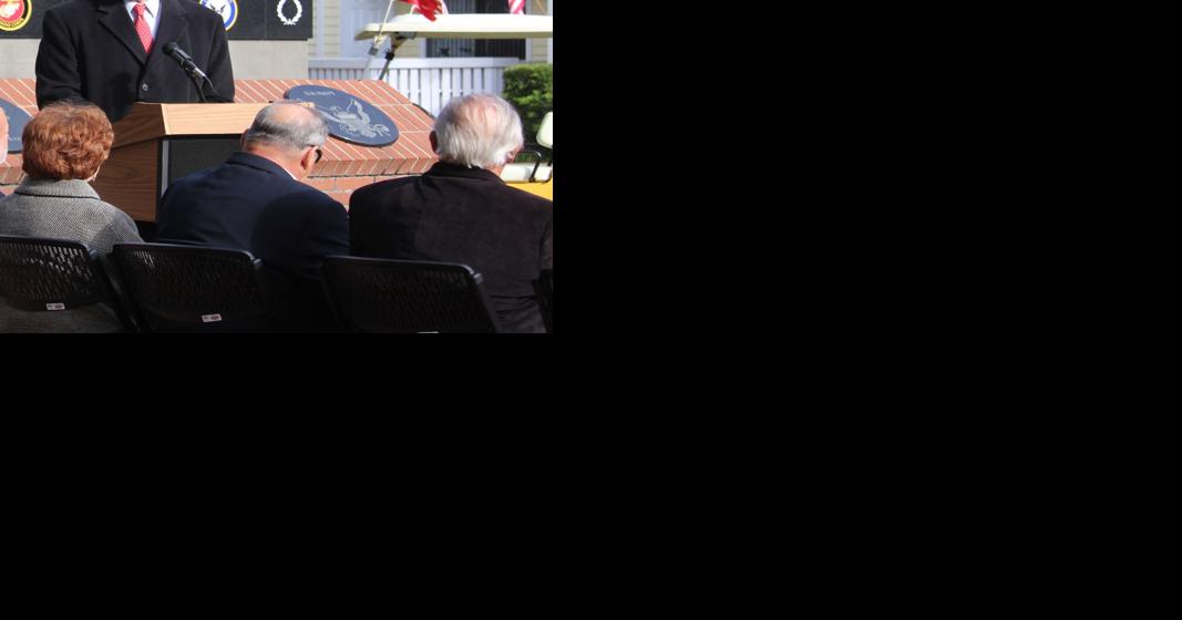 Horry County Schools board member launches bid for state house seat ...