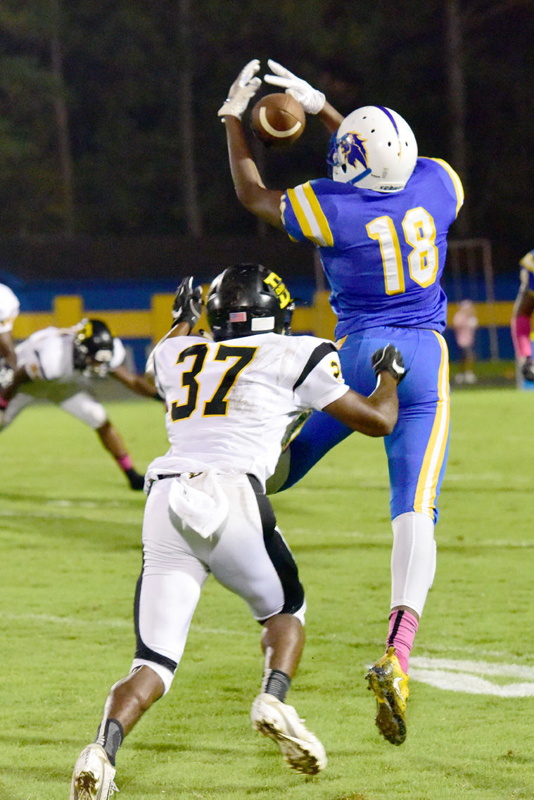 Loris Lions fall to the Dillon Wildcats | Football | myhorrynews.com