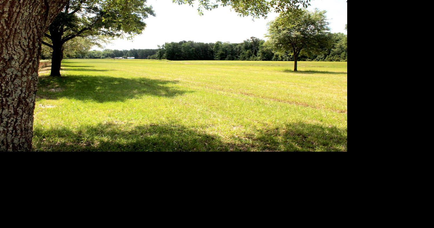 Thompson Farm at Brickyard Plantation readies for fall opening | News ...